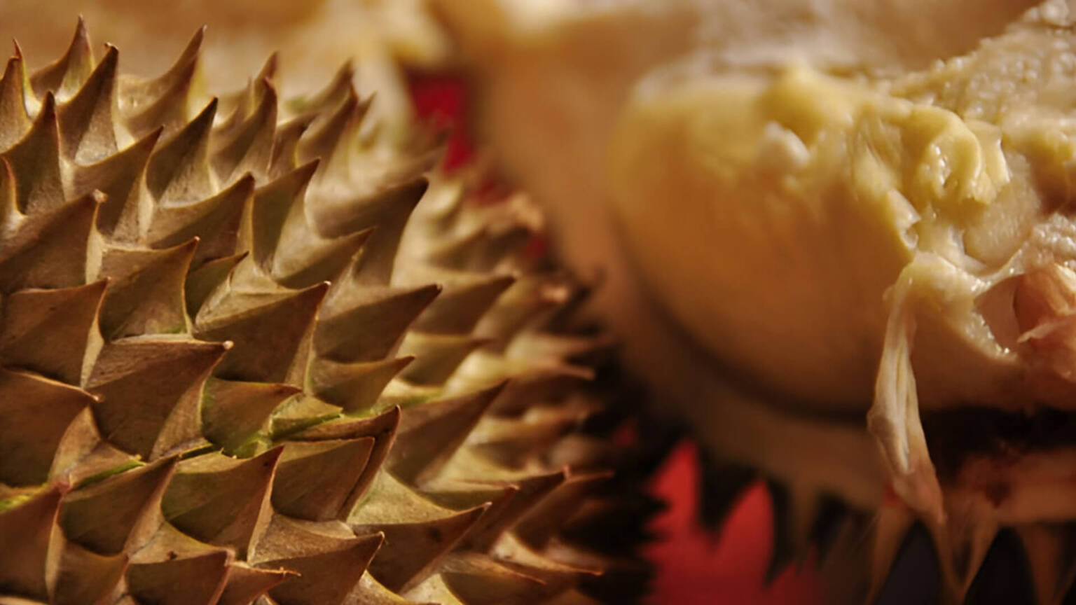 Who Discovered Durian? The History of the King of Fruits