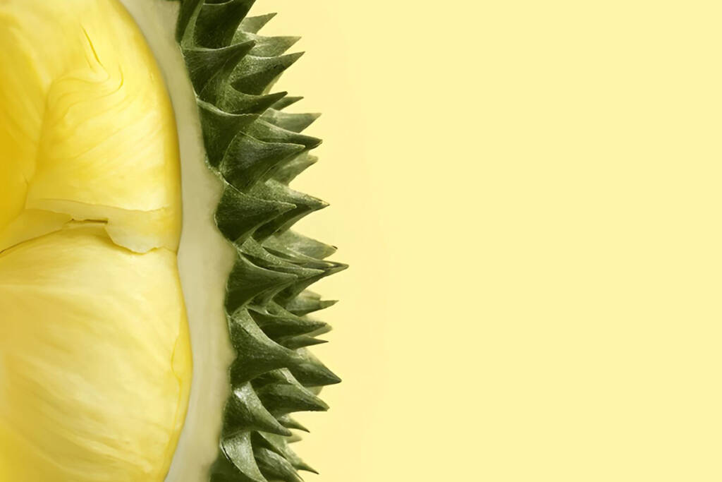 Durian Tekka- Musang Queen: Origin, Taste, and Unique Features