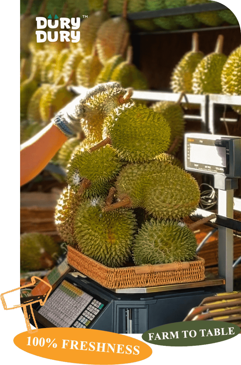 Dury Dury | Durian Delivery, Best Fresh Durian in Malaysia
